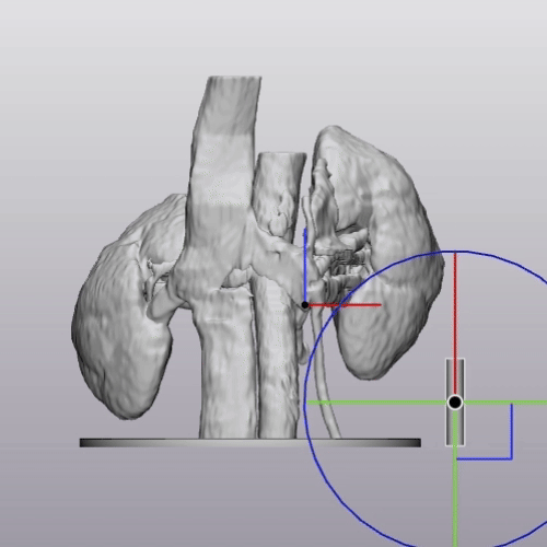 3D Printing: Pegs – 3D and Quantitative Imaging Laboratory