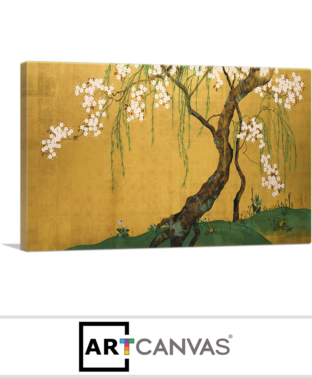 Cherry Tree Canvas Art Print for Sale | ARTCANVAS