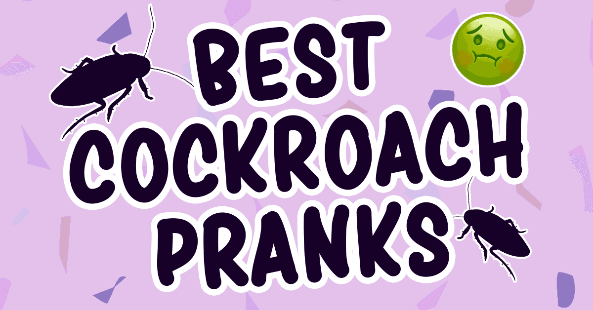 Ownage’s Picks: Best Cockroach Pranks | Ownage Pranks