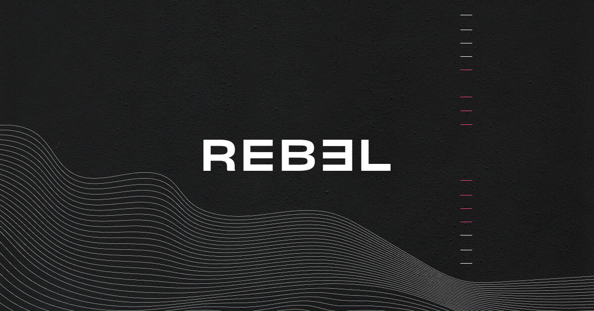 Get Customer Insights to Move Your Brand Forward | Rebel-co