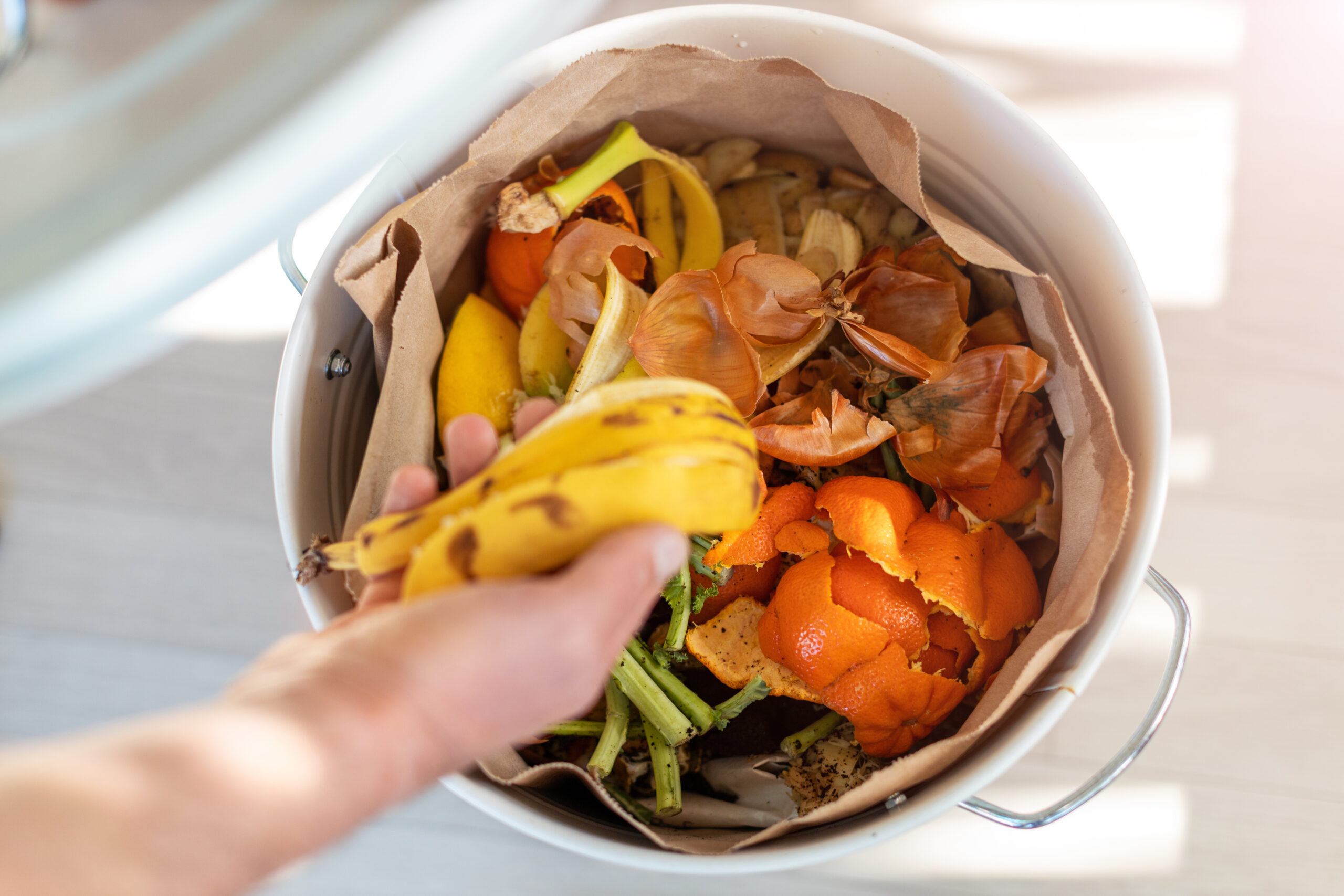 Three Ways to Help Reduce Food Waste - Treo Wellness