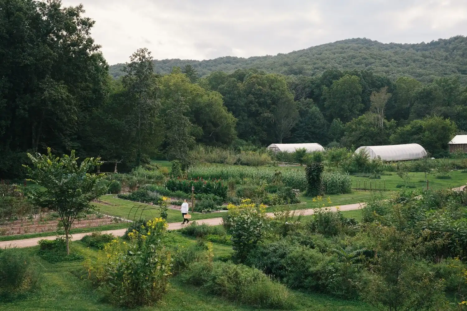 Blackberry Farm | Blackberry Farm | Activities