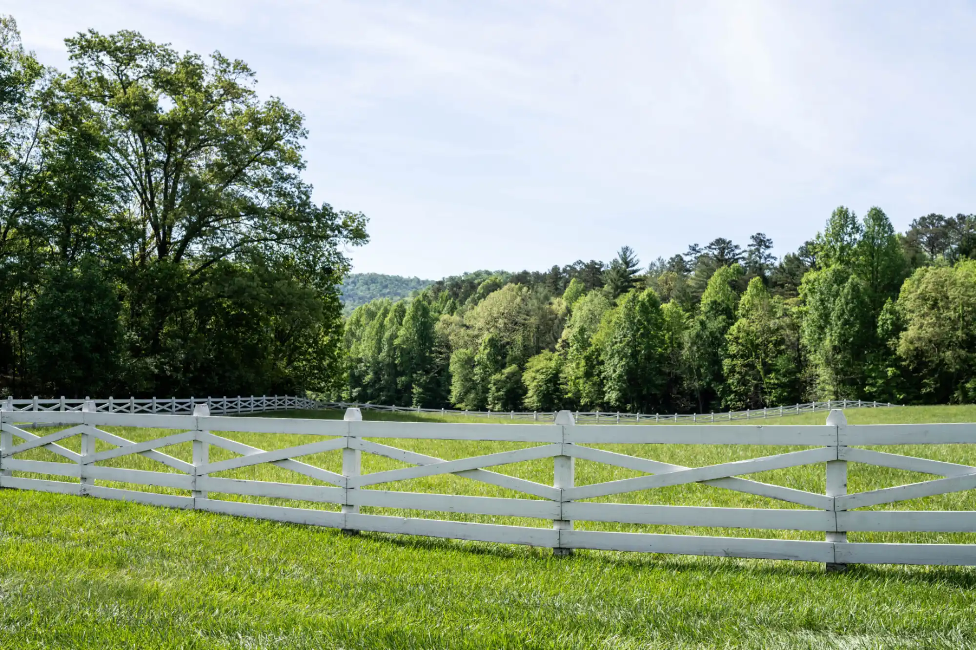 Blackberry Farm | Home