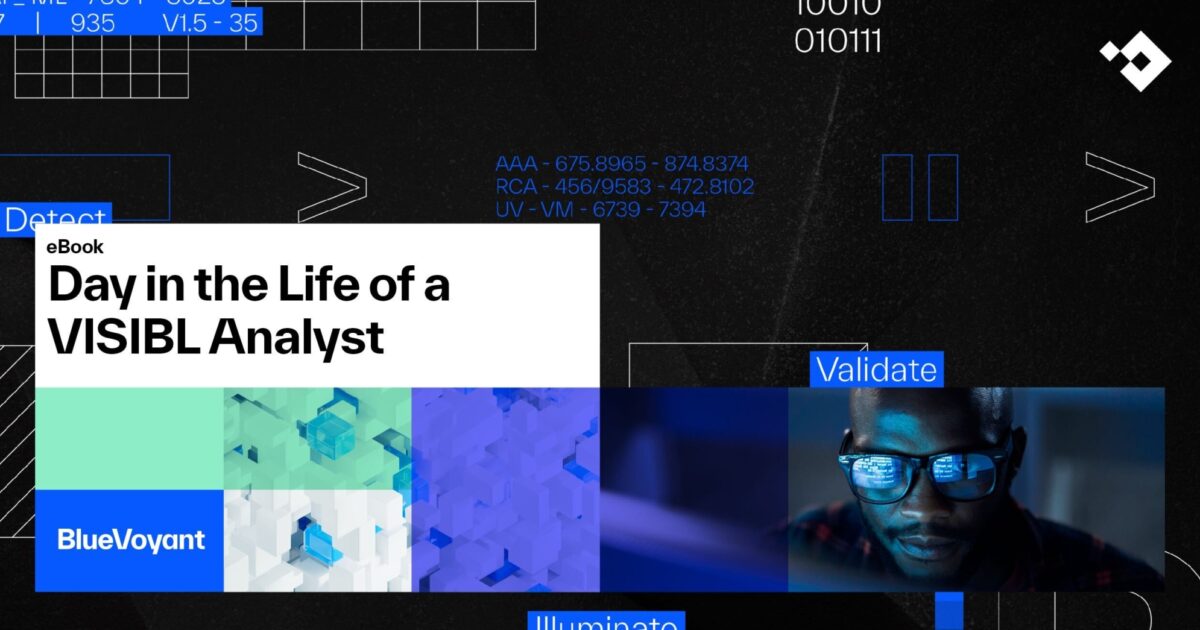 Day in the Life of a VISIBL Analyst