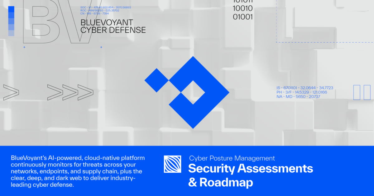 Security Assessments & Roadmap | BlueVoyant