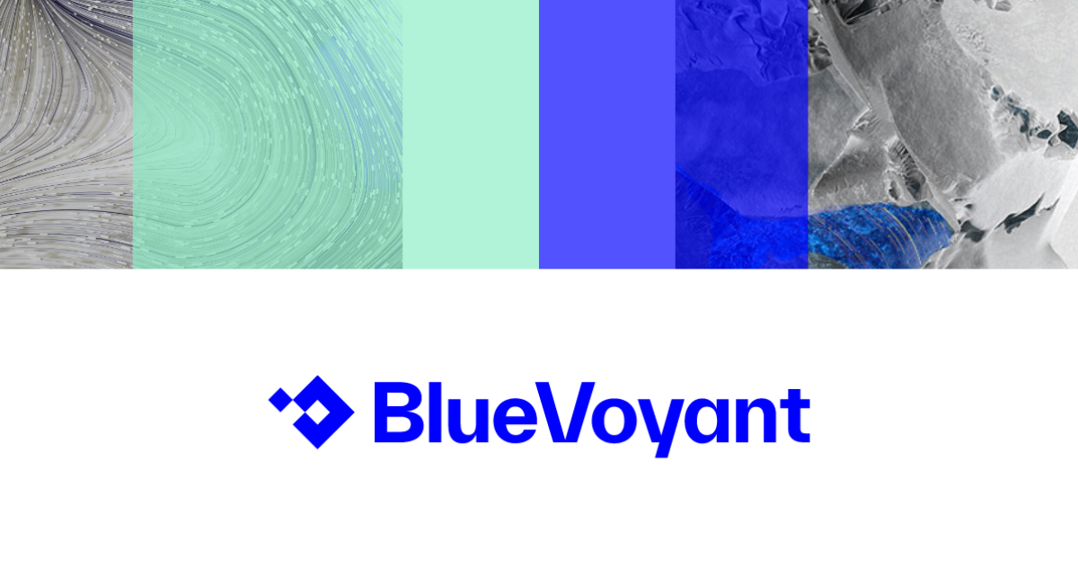 Company | BlueVoyant