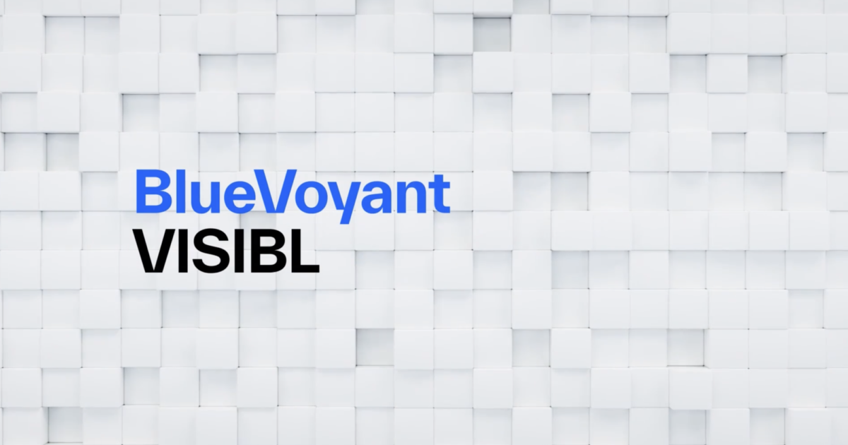 BlueVoyant VISIBL | Video