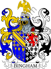 Bingham Family Crest, Coat of Arms and Name History