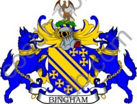 Bingham Family Crest, Coat of Arms and Name History
