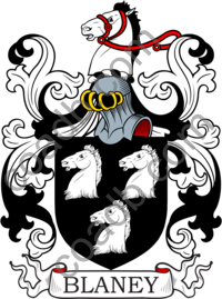 Blaney Family Crest, Coat of Arms and Name History