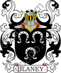 Blaney Family Crest, Coat of Arms and Name History