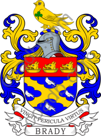 Brady Family Crest, Coat of Arms and Name History