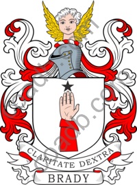 Brady Family Crest, Coat of Arms and Name History
