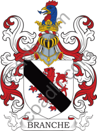 Branch Family Crest, Coat of Arms and Name History