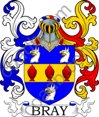 Bray Family Crest, Coat of Arms and Name History