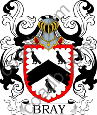 Bray Family Crest, Coat of Arms and Name History