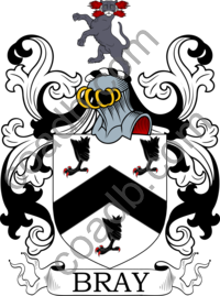 Bray Family Crest, Coat of Arms and Name History