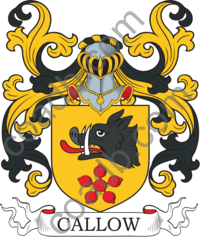 Callow Family Crest, Coat of Arms and Name History