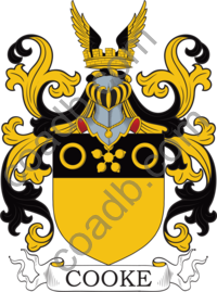 Cook Family Crest, Coat of Arms and Name History
