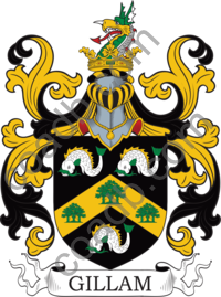 Gillam Family Crest, Coat of Arms and Name History