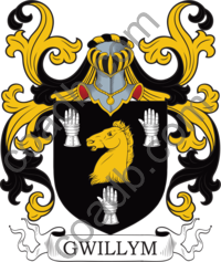 Gillam Family Crest, Coat of Arms and Name History