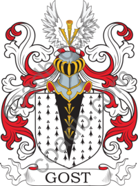 Gost Family Crest, Coat of Arms and Name History