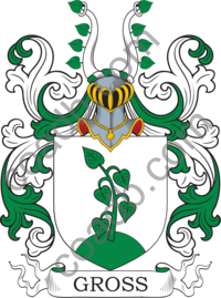 Gross Family Crest, Coat of Arms and Name History