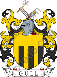 Gull Family Crest, Coat of Arms and Name History