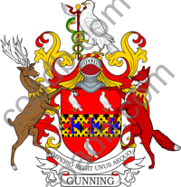 Gunning Family Crest, Coat of Arms and Name History