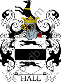 Hall Family Crest, Coat of Arms and Name History