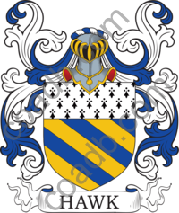 Hawk Family Crest, Coat of Arms and Name History