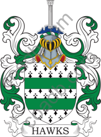 Hawk Family Crest, Coat of Arms and Name History
