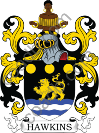 Hawkins Family Crest, Coat of Arms and Name History