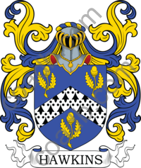 Hawkins Family Crest, Coat of Arms and Name History