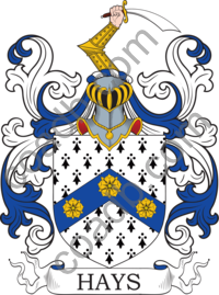 Hayes Family Crest, Coat of Arms and Name History