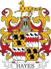 Hayes Family Crest, Coat of Arms and Name History