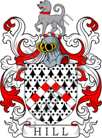 Hill Family Crest, Coat of Arms and Name History