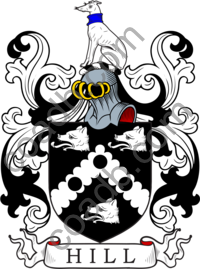 Hill Family Crest, Coat of Arms and Name History