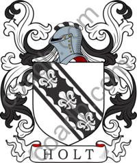 Holt Family Crest, Coat of Arms and Name History