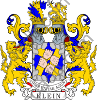 Klein Family Crest, Coat of Arms and Name History