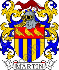 Martin Family Crest, Coat of Arms and Name History