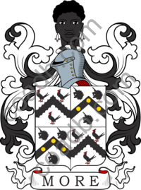 Moore Family Crest, Coat of Arms and Name History
