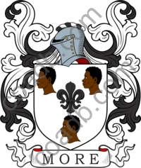 Moore Family Crest, Coat of Arms and Name History