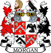 Morgan Family Crest, Coat of Arms and Name History