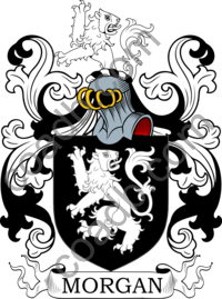 Morgan Family Crest, Coat of Arms and Name History