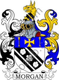 Morgan Family Crest, Coat of Arms and Name History
