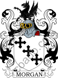 Morgan Family Crest, Coat of Arms and Name History