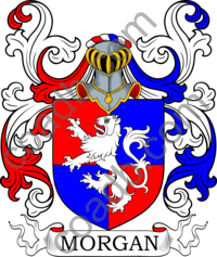 Morgan Family Crest, Coat of Arms and Name History