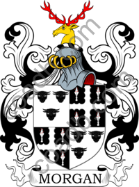 Morgan Family Crest, Coat of Arms and Name History