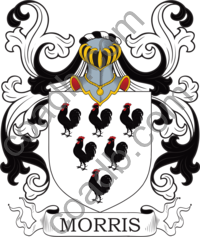 Morris Family Crest, Coat of Arms and Name History